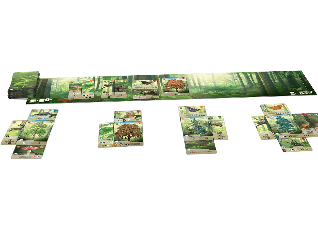 Board game Mixed Forest | Eigrače.com store